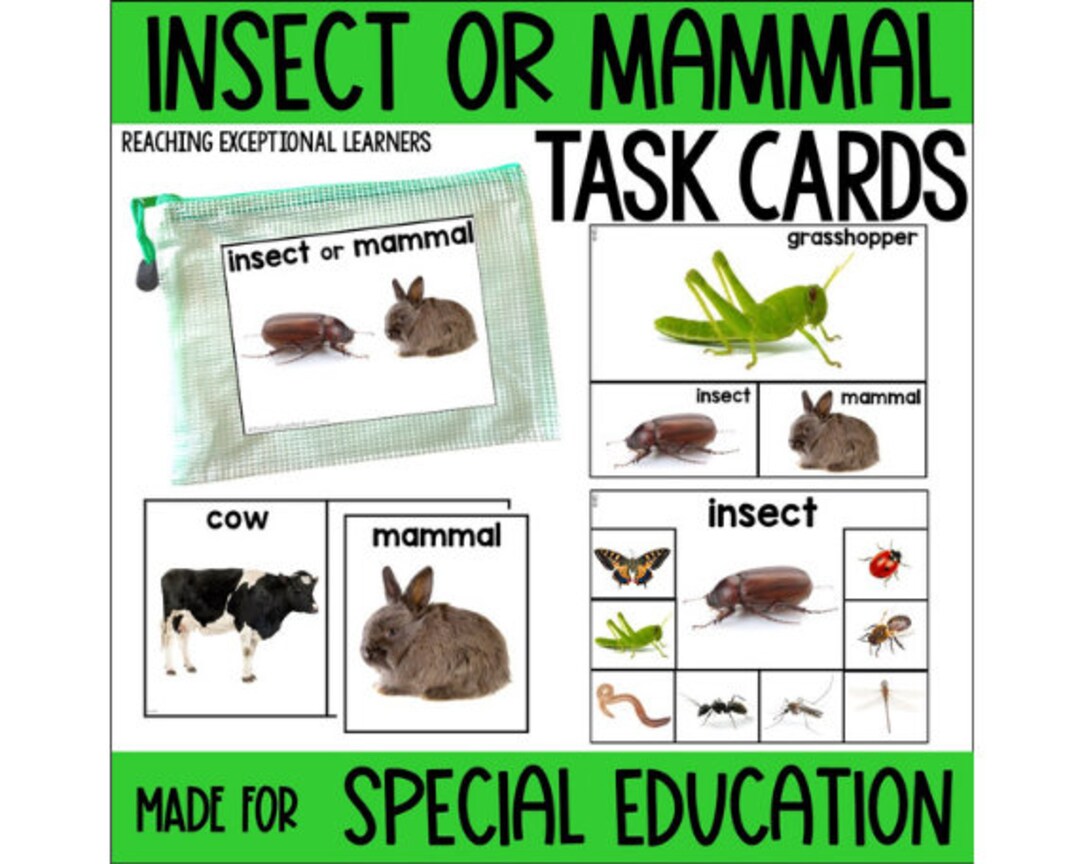 Insect or Mammal Task Cards Special Education - Etsy