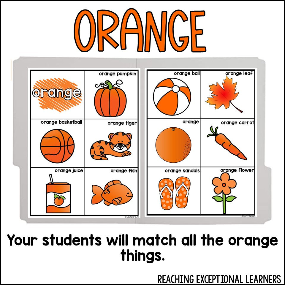 Color File Folder Activities - Etsy