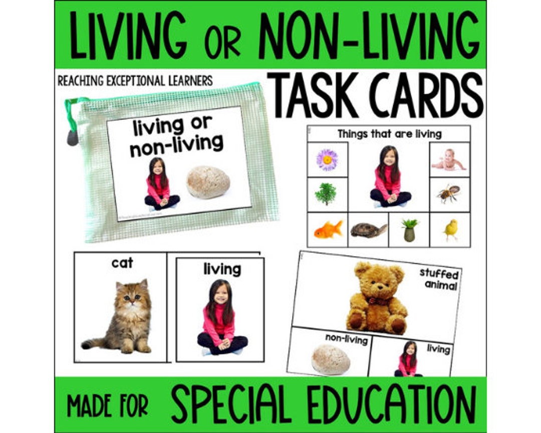 Living or Non-living Task Cards Special Education - Etsy