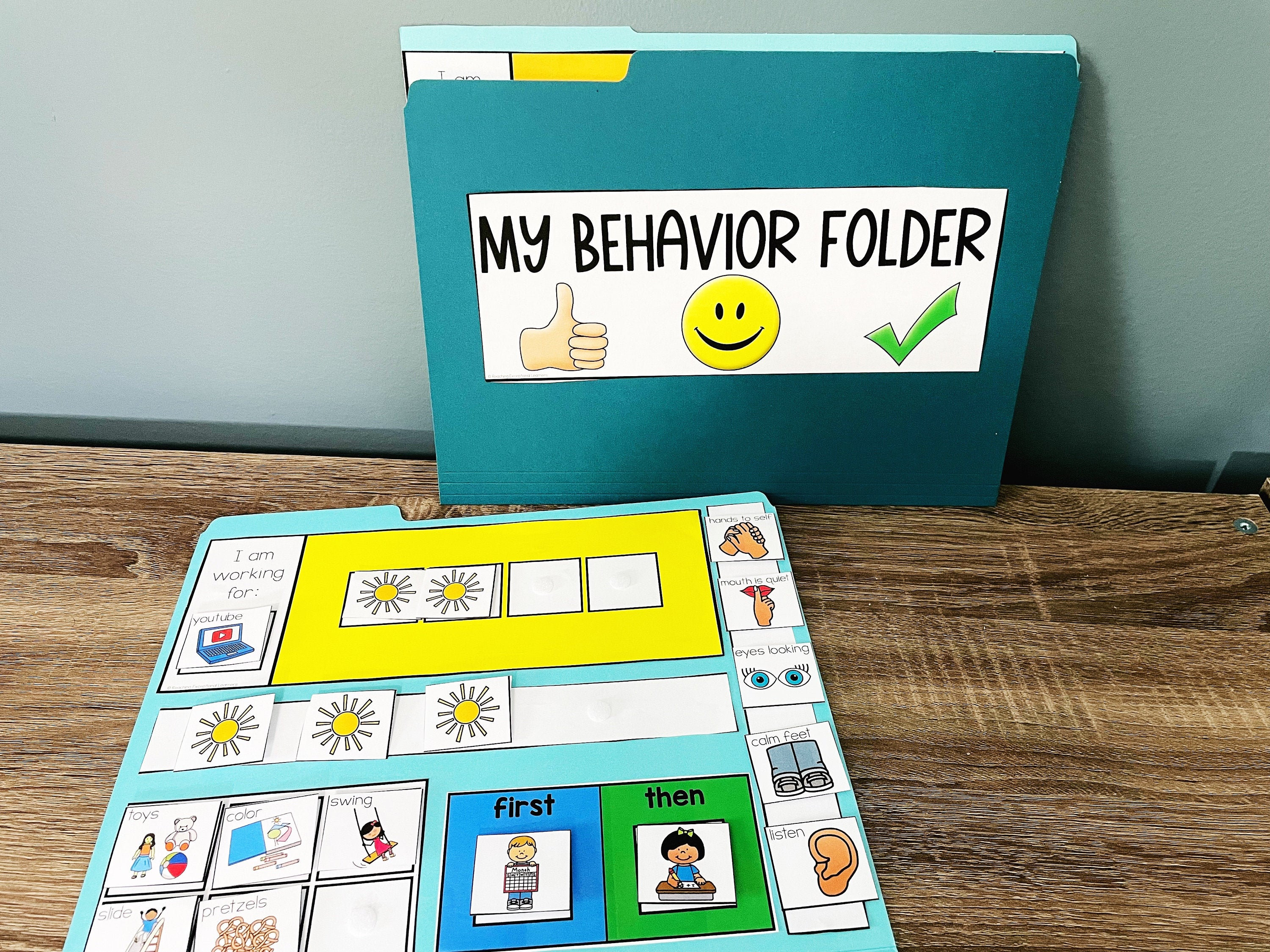 Behavior Folder for Autism and Special Needs | Etsy