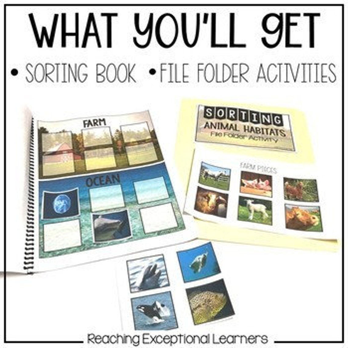 Animal Habitats Sorting Activity - Etsy