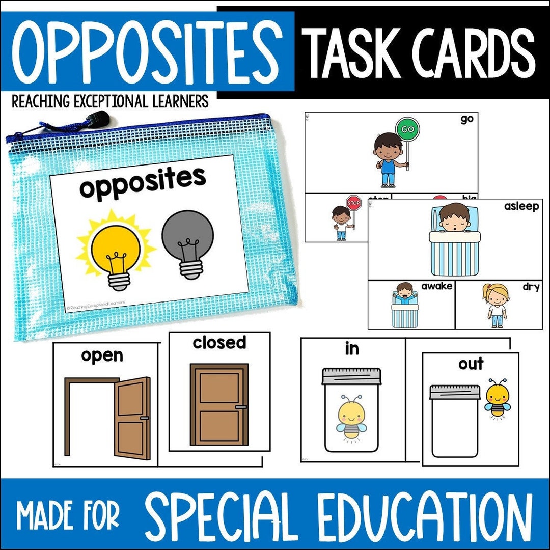 Opposites Task Cards - Etsy