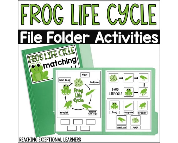 Frog Life Cycle File Folder Activity - Etsy