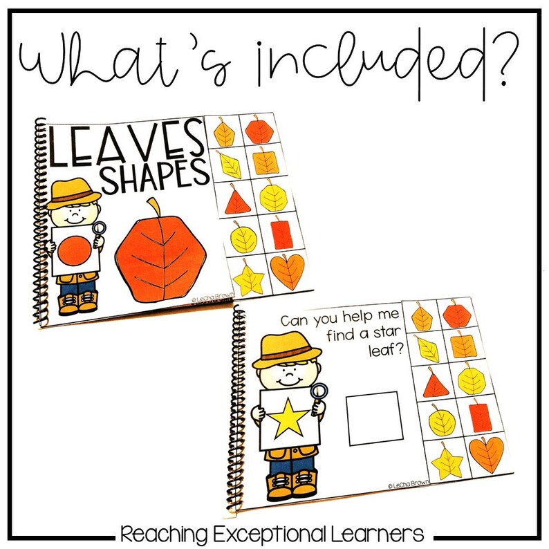 November Adapted Books Bundle - Etsy