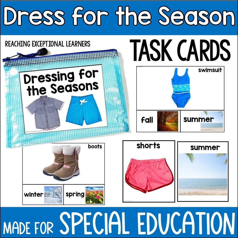Dressing for the Seasons Task Cards - Etsy
