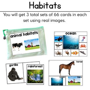 Science Task Boxes Special Education - Etsy