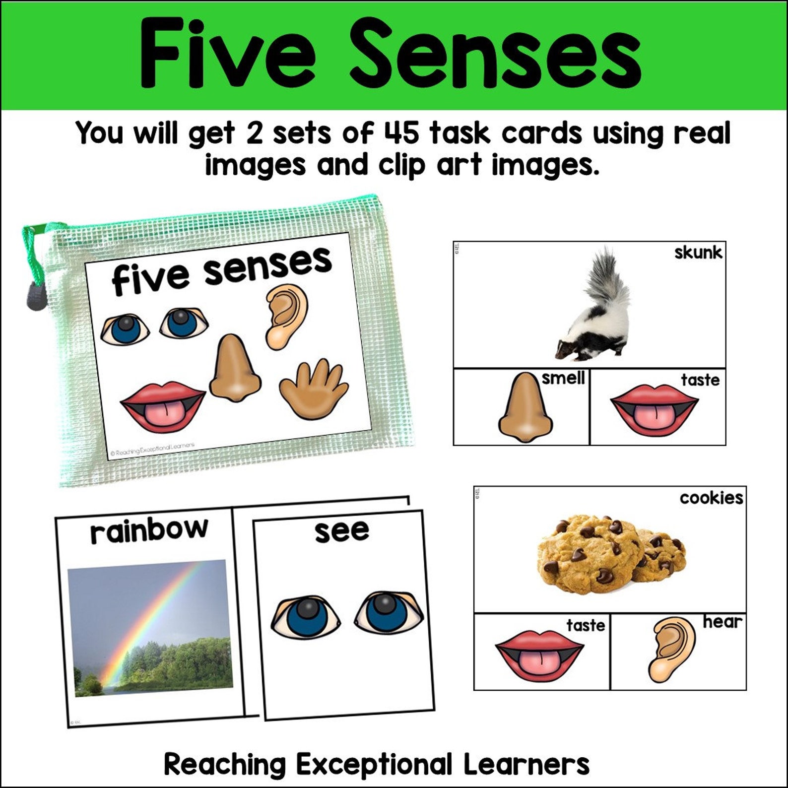 Science Task Boxes Special Education - Etsy