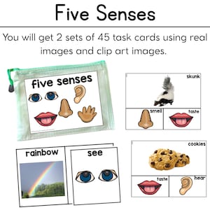 Science Task Boxes Special Education - Etsy