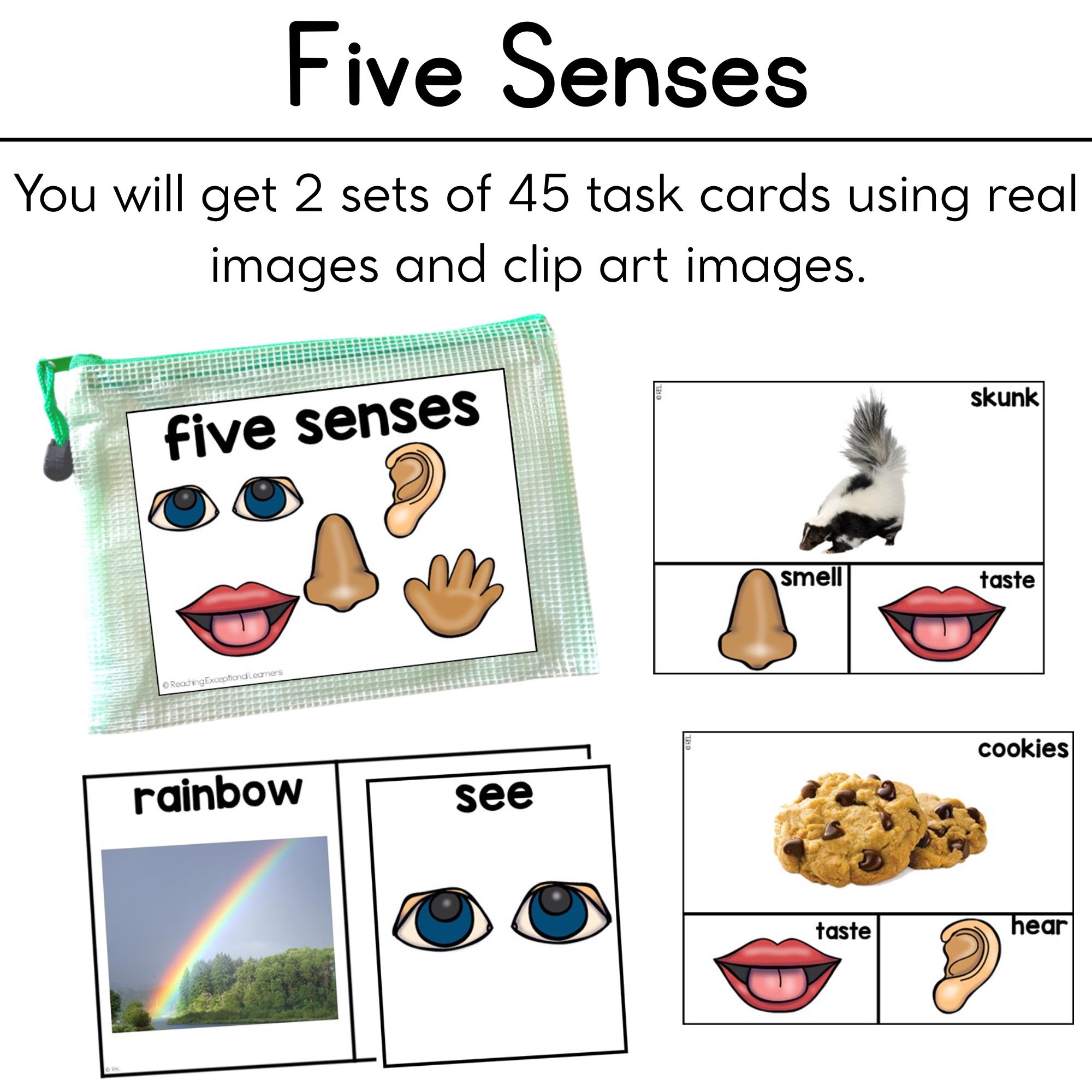 Science Task Boxes Special Education - Etsy