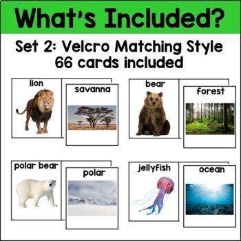 Animal Habitats Task Card Set Special Education - Etsy