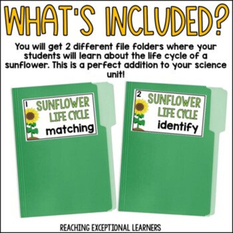 Sunflower Life Cycle File Folder Activity - Etsy