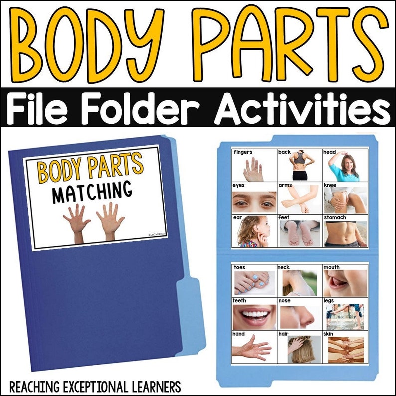 Science File Folder Bundle - Etsy