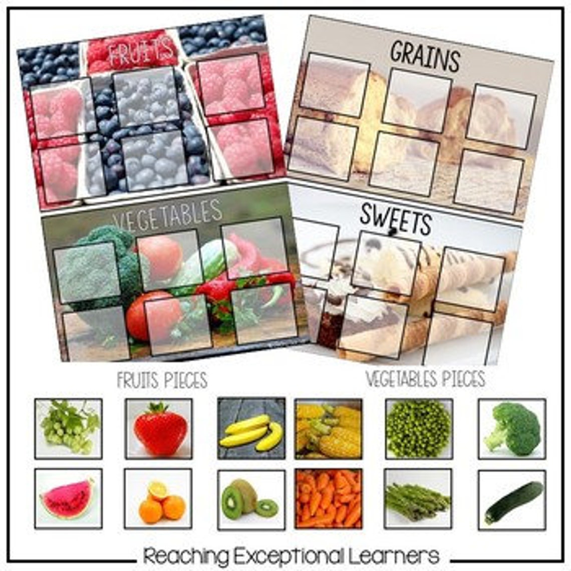 Food Groups Sorting Activities - Etsy Canada