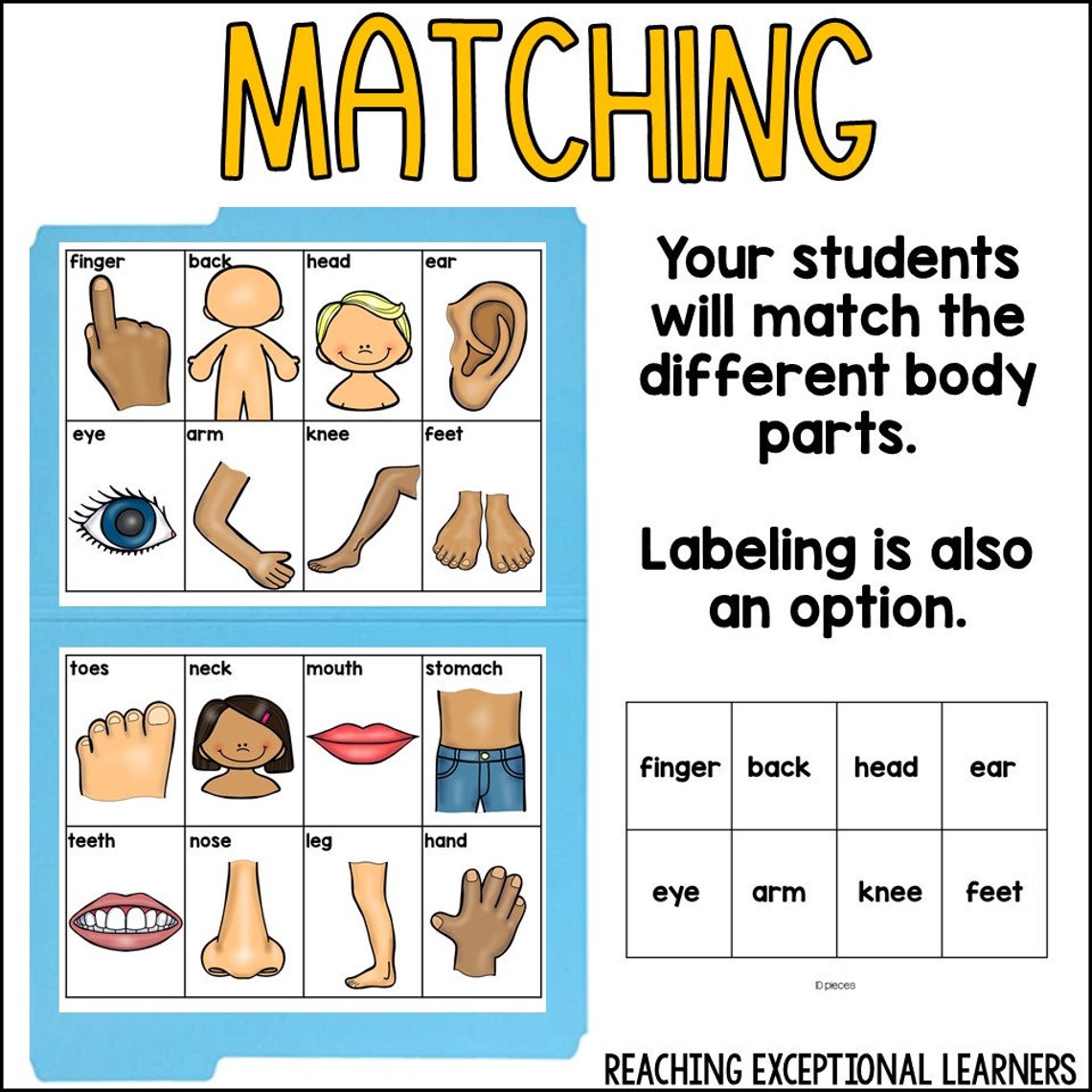 Body Parts File Folder Activities - Etsy