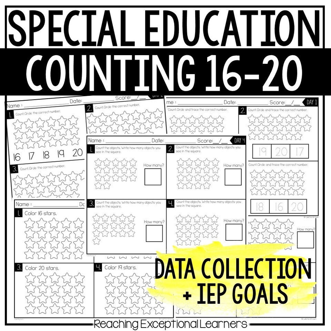 Counting 16-20 for Special Education - Etsy