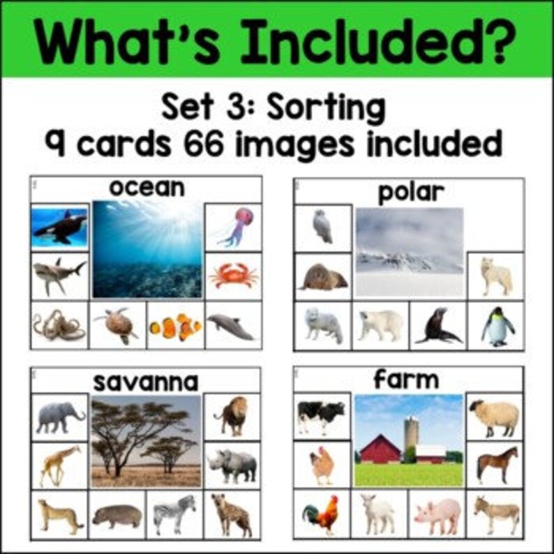 Animal Habitats Task Card Set Special Education - Etsy