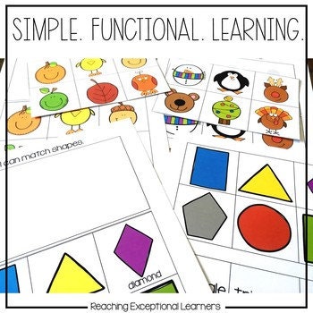 Identifying Shapes Adapted Binder - Etsy
