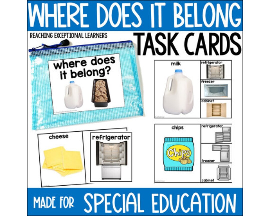 Where Does It Belong Task Cards - Etsy