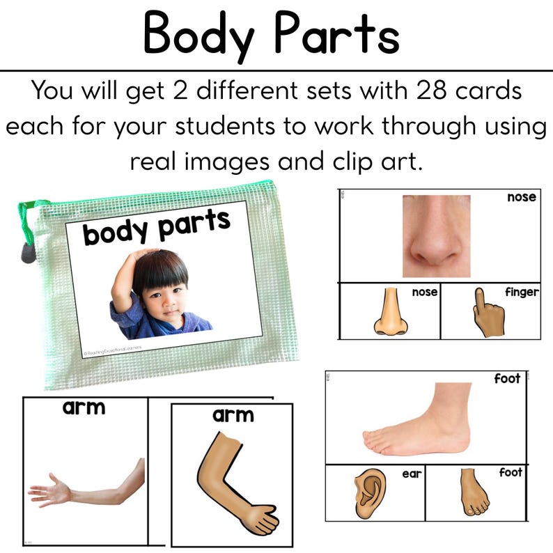 Science Task Boxes Special Education - Etsy