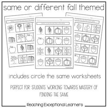 Same or Different Fall Worksheets Special Education - Etsy
