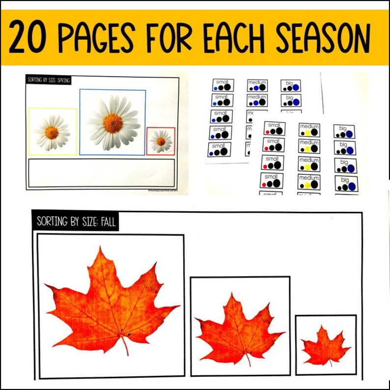 Sorting by Size Adapted Binder - Etsy