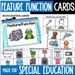 Feature Function Task Cards - Etsy