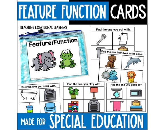 Feature Function Task Cards - Etsy