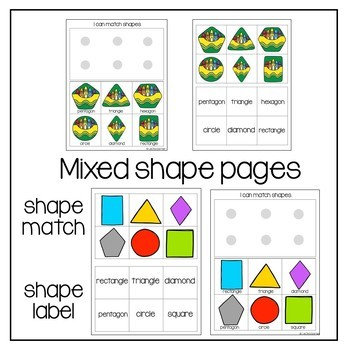 Identifying Shapes Adapted Binder - Etsy