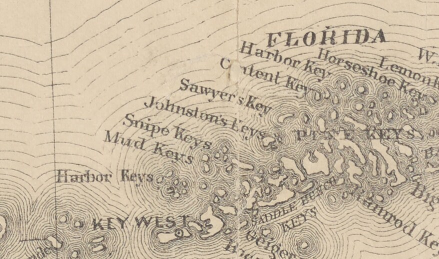 Vintage Map of Florida Digital Download Old Florida Wall Map Circa 1856 ...