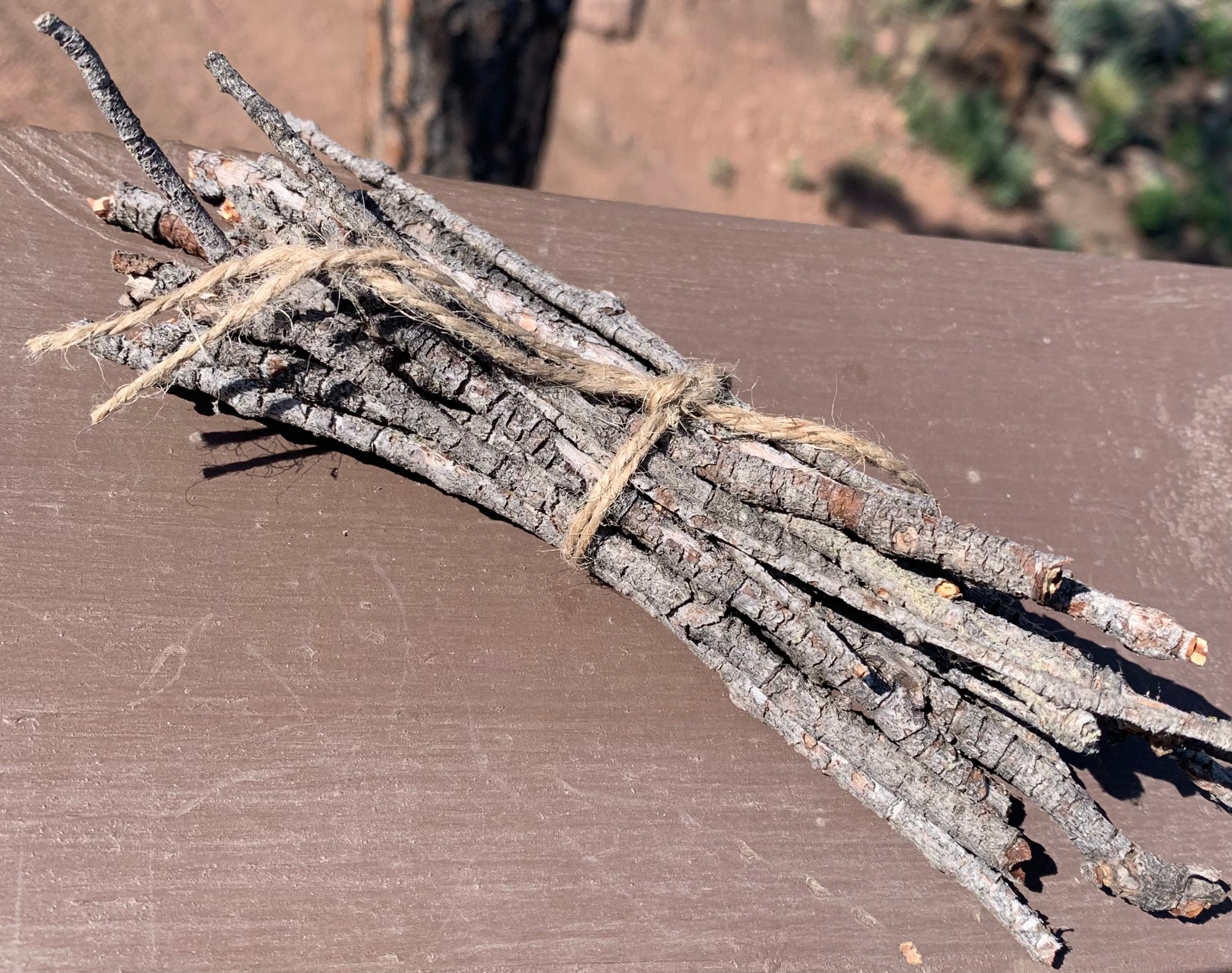 Wooden Branch Stick