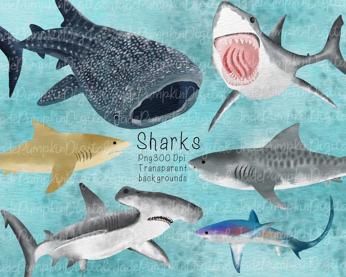 Watercolor Shark Art Shark Clipart Shark Clip Art Great - Etsy