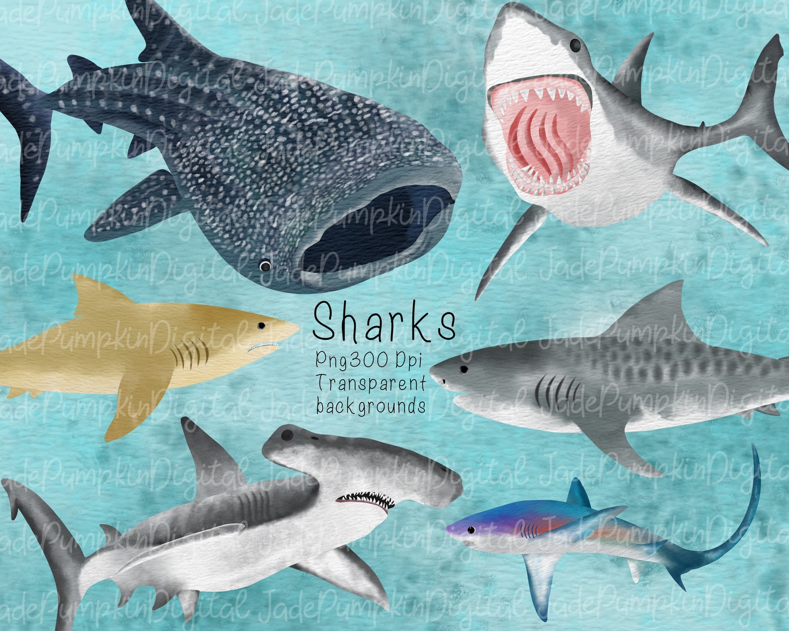 Watercolor Shark Art Shark Clipart Shark Clip Art Great - Etsy