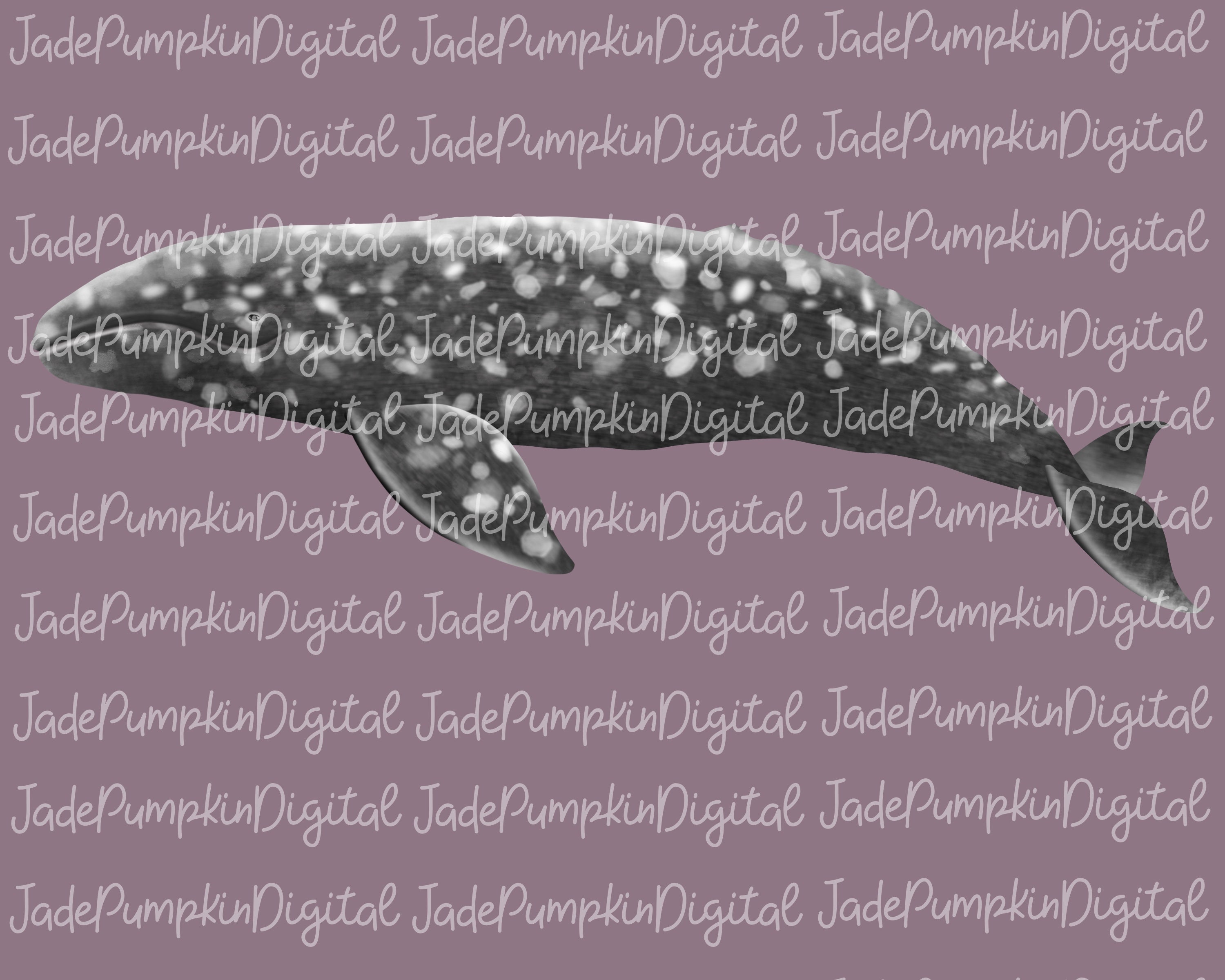 Whale Clip Art Watercolor Whale Clipart Whale Art Orca - Etsy