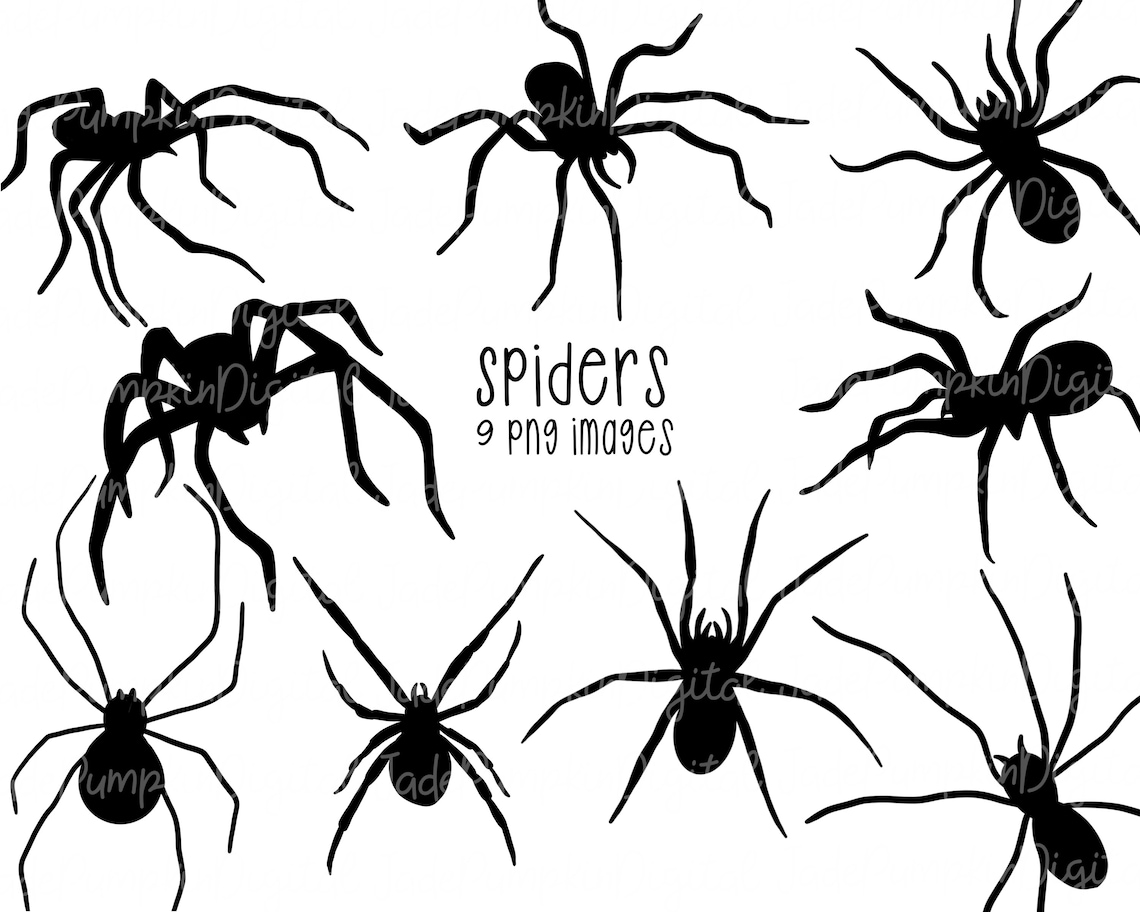 Spider Clipart Png Spiders Spider Cut Files Halloween - Etsy