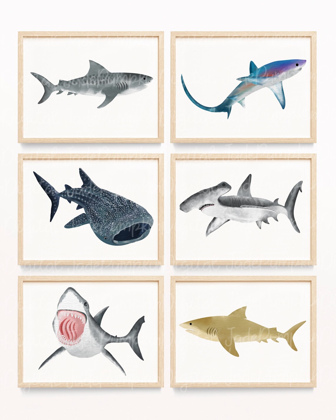 Watercolor Shark Art Shark Clipart Shark Clip Art Great - Etsy