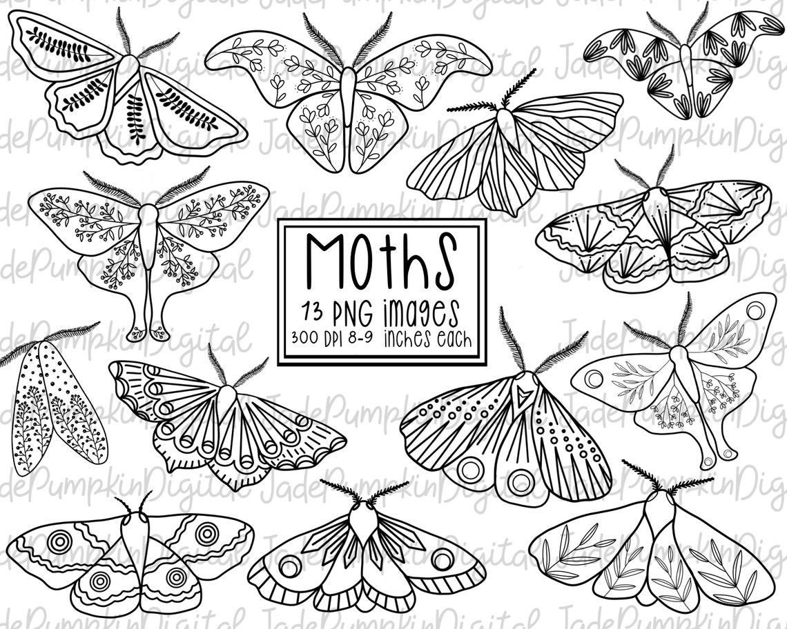 Moth Clipart, Moths, Moth Line Art, Moth Black and White Clipart ...