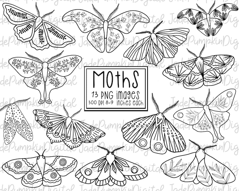 Moth Clipart, Moths, Moth Line Art, Moth Black and White Clipart ...