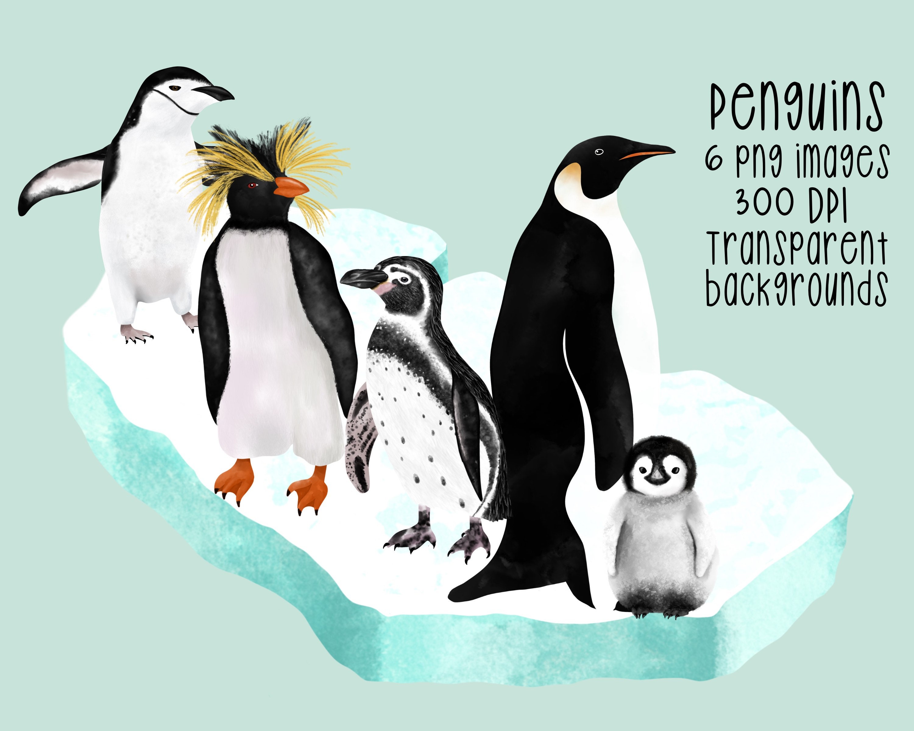 Penguin Clipart, Penguins for Invitations, Penguin Art, Penguins ...