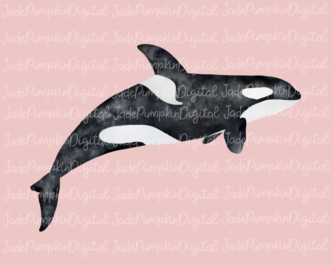 Whale Clip Art Watercolor Whale Clipart Whale Art Orca - Etsy