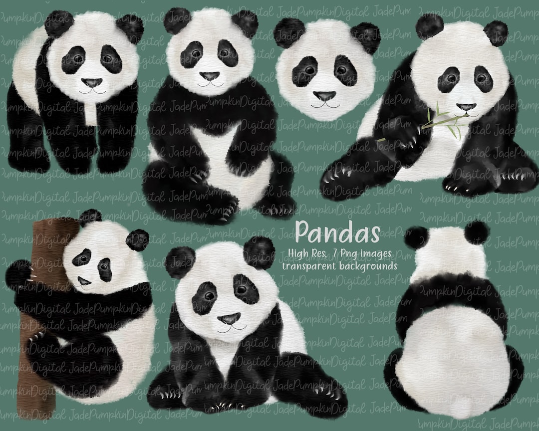 Watercolor Panda Clipart, Pandas, Panda Gifts, Panda Watercolor Art ...