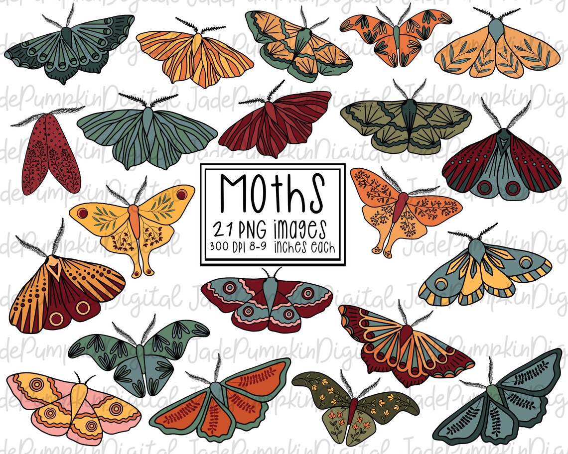 Moth Clipart Moths Moth Line Art Moth Black and White - Etsy