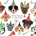 Party Dog Clip Art Birthday Clipart Puppy Clip Art - Etsy
