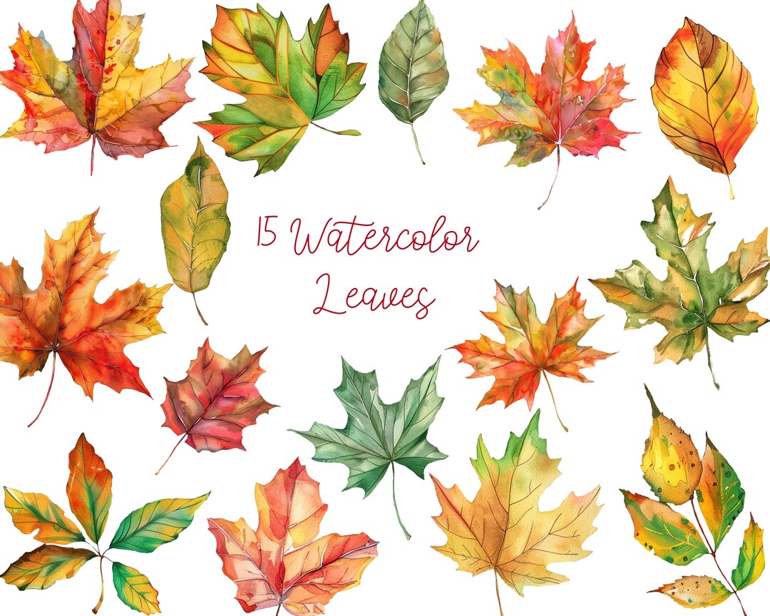 Leaf Watercolor Clipart, Watercolor Fall Clipart, Watercolor Clipart ...