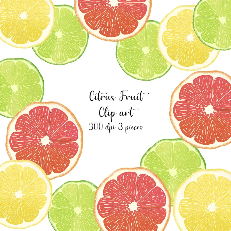 Citrus Fruit Clipart Watercolor Fruit Clipart Watercolor - Etsy