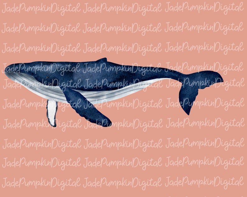 Whale Clip Art Watercolor Whale Clipart Whale Art Orca - Etsy