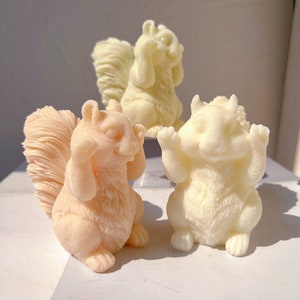Happy Cute Large Squirrels Big Squirrel 3D Food-grade Silicone Mold ...