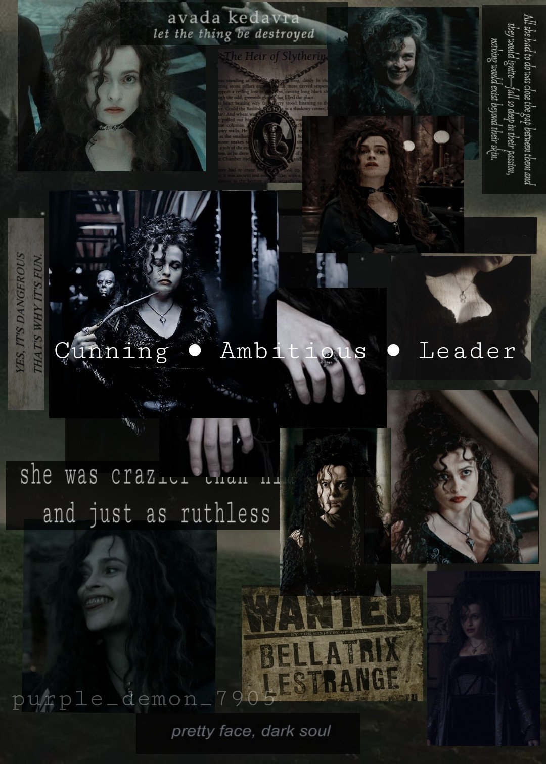 Bellatrix Lestrange Poster