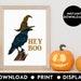 Set of FOUR Printable Boho Halloween Prints, Instant Download ...