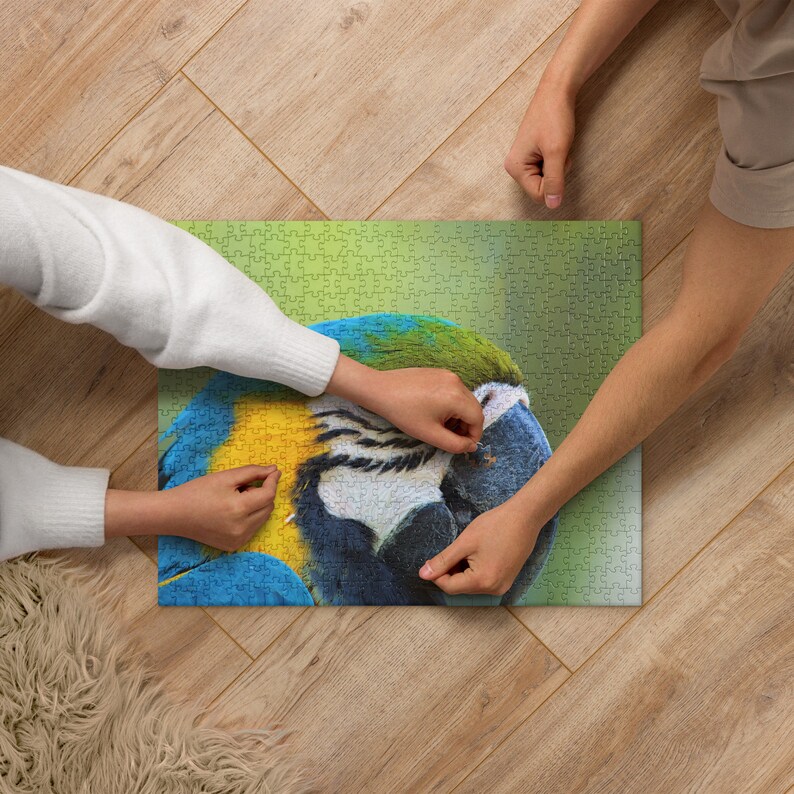Blue and Gold Macaw Jigsaw Puzzle - Etsy
