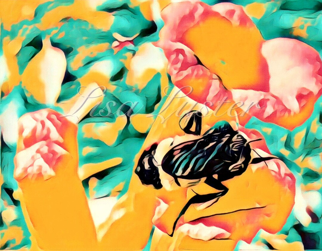 Bumble Bee on Trumpet Vine Flower Photograph - Etsy